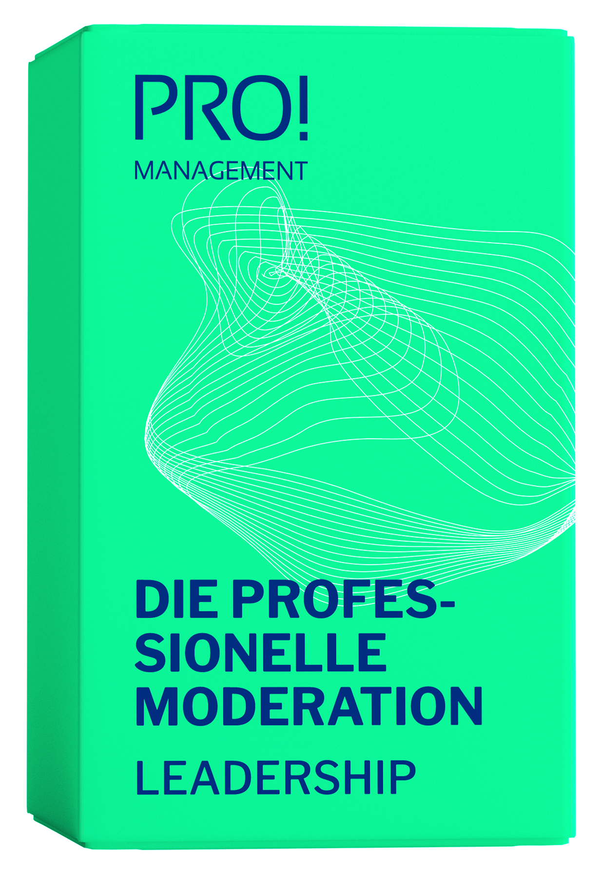 Die professionelle Moderation » Pro Management AG