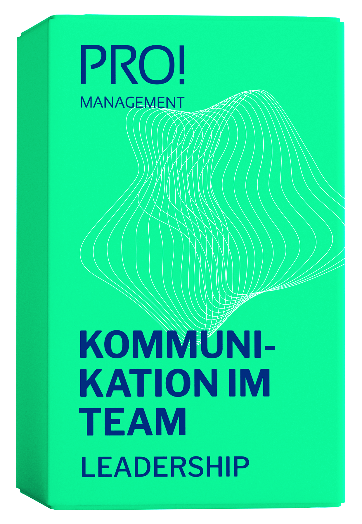 Team communication " Pro Management AG