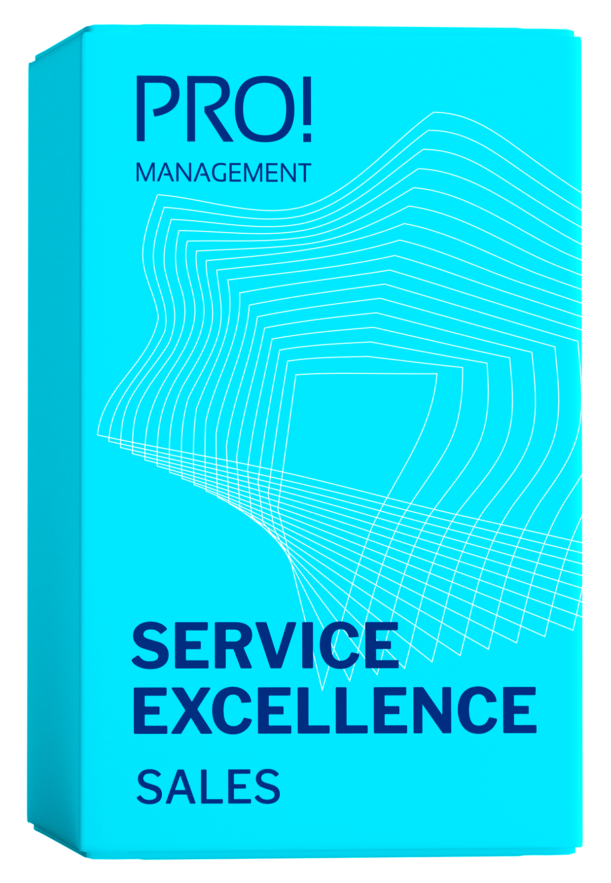 Service Excellence » Pro Management AG