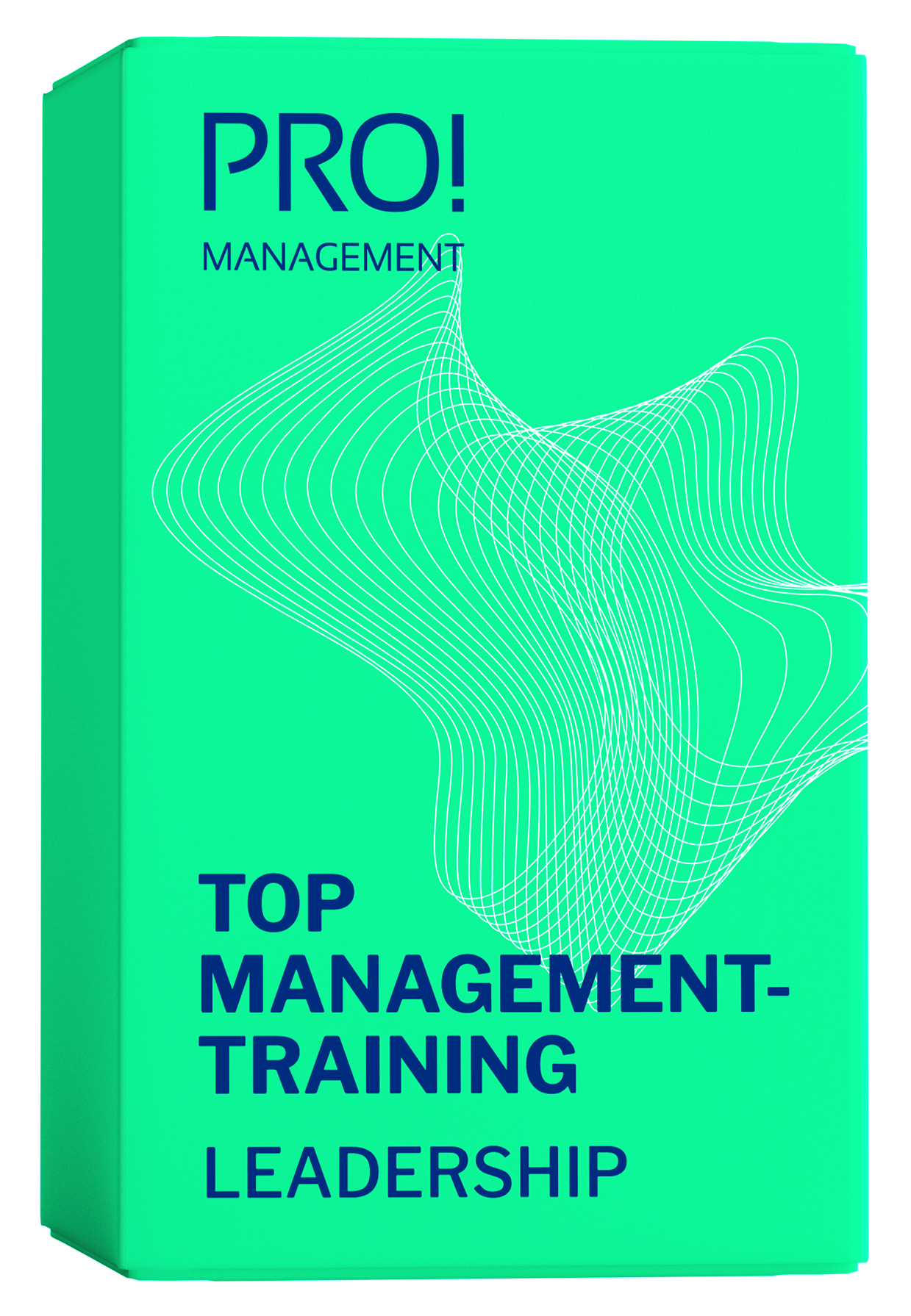 Top Management Training " Pro Management AG